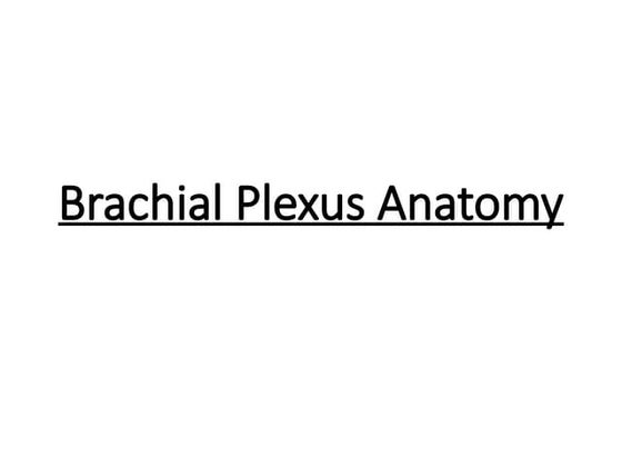 Brachial Plexus Anatomy | PPTX