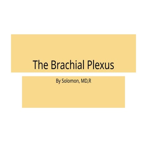 Brachial Plexus Anatomy | PPTX