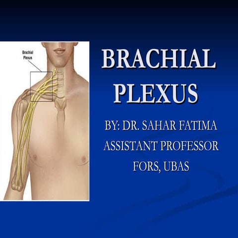 Brachial plexus | PPTX