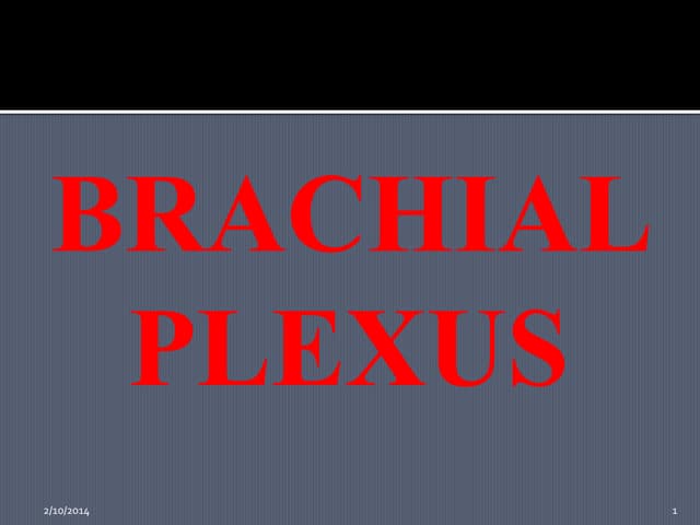 Brachial Plexus Anatomy | PPTX