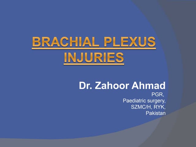Brachial Plexus Anatomy | PPTX