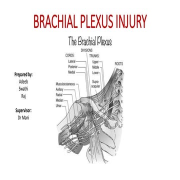 Brachial Plexus Injuries.pptx