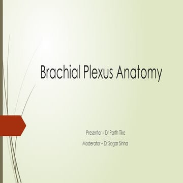 brachial plexus injuries and diagnosis with management | PPTX