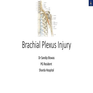 Brachial Plexus Injury | PPTX