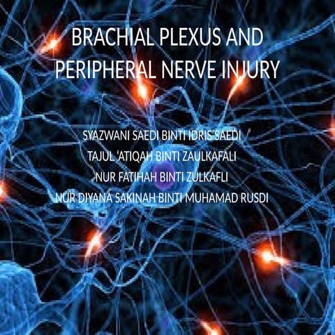 Brachial plexus and peripheral nerve injuryinjury.pptx