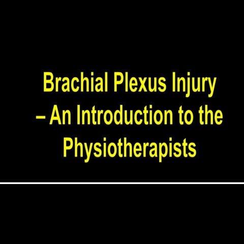 Brachial Plexus Injury | PPTX