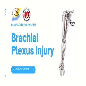 BRACHIAL PLEXUS INJURY - INFORMAL TEACHING.pptx