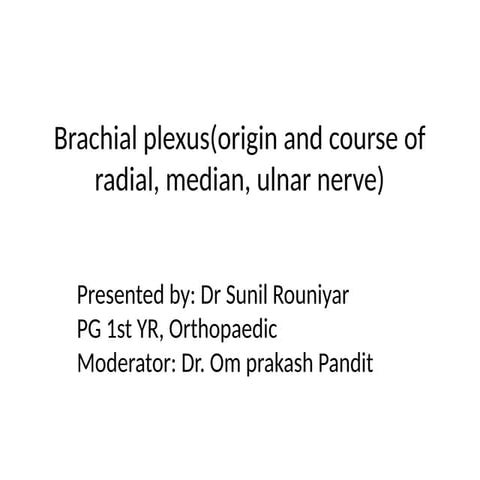 Brachial Plexus Anatomy | PPTX