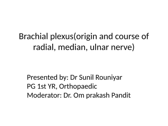 Brachial Plexus Anatomy | PPTX