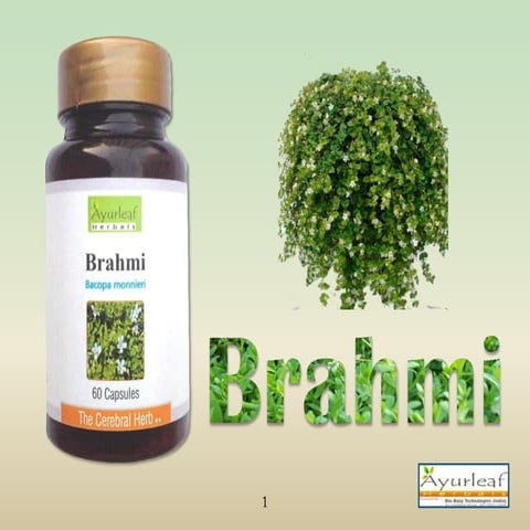 Brahmi herb | PPTX