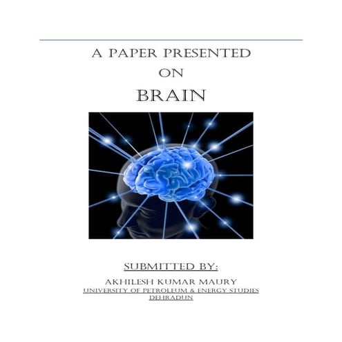Brain | PDF