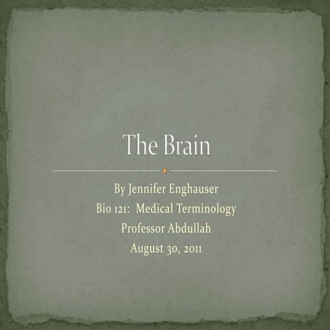 Brain | PPTX | Brain and Nervous System Disorders | Diseases and Conditions
