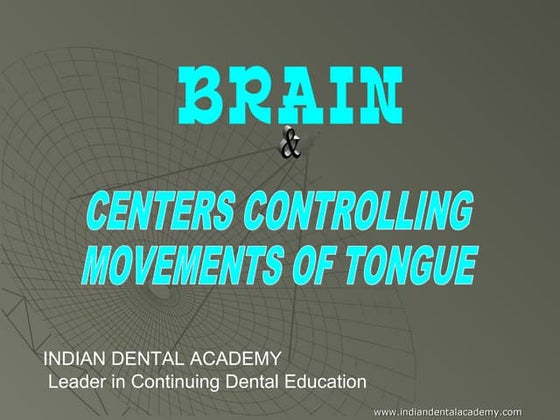 Ventricles_of_the_brain_The ventricles of the brain are a communicating ...
