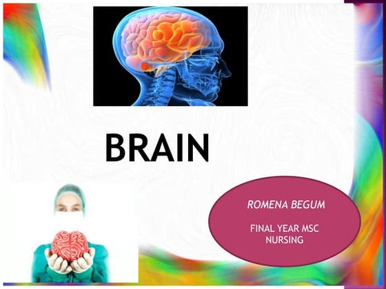 Anatomy of brain | PPT