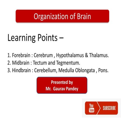 The Human Brain, Its Parts and Functions | PPTX