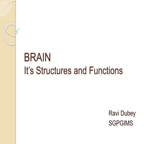 The Human Brain, Its Parts and Functions | PPTX