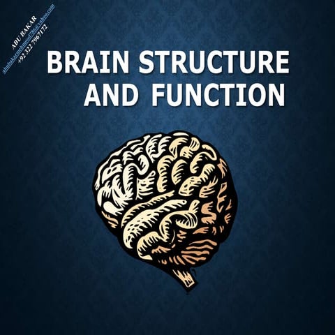Brain Structure and Function | PPT | Brain and Nervous System Disorders ...