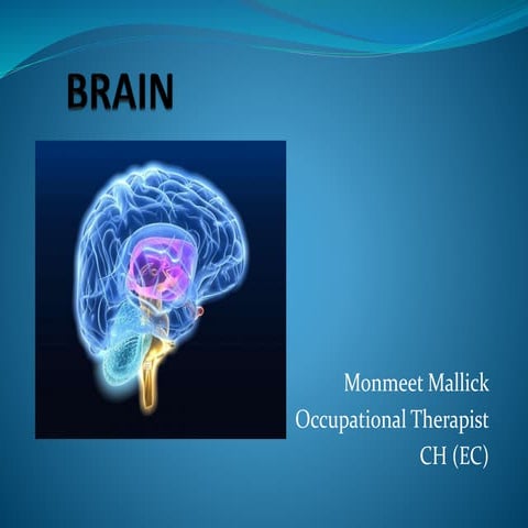 BRAIN.pptx