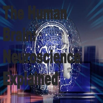 HOW THE BRAIN WORKS .pptx