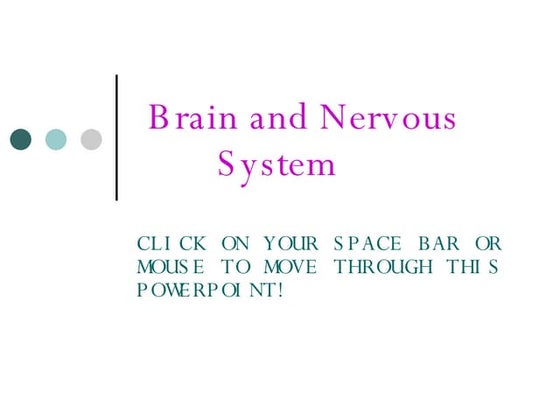Bar charts quickstudy nervous system | PDF