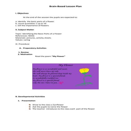 Brain based lesson plan | PDF