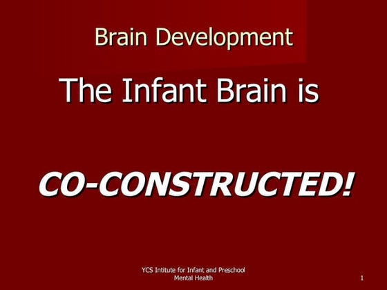 Early brain development | PPTX