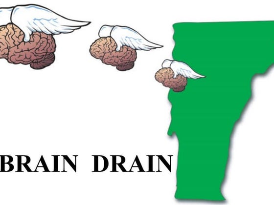 Brain Drain Advantages and Disadvantages | PDF | Economy | Business and ...