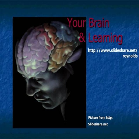 Brain Learn | PPT