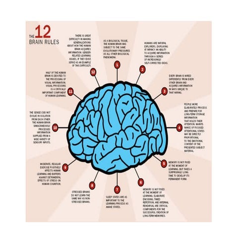 Brain Rules | PPT