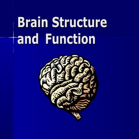 Brain | PPT