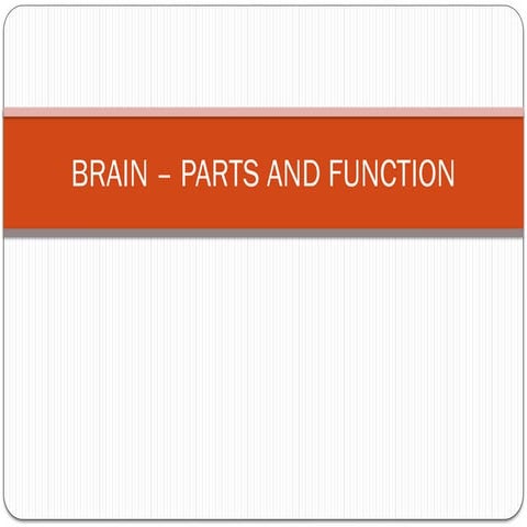 BRAIN parts and anatomy for psychology students | PPTX