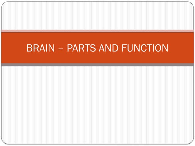 BRAIN parts and anatomy for psychology students | PPTX