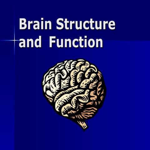 Lecture note on the brain structure and functions | PPT