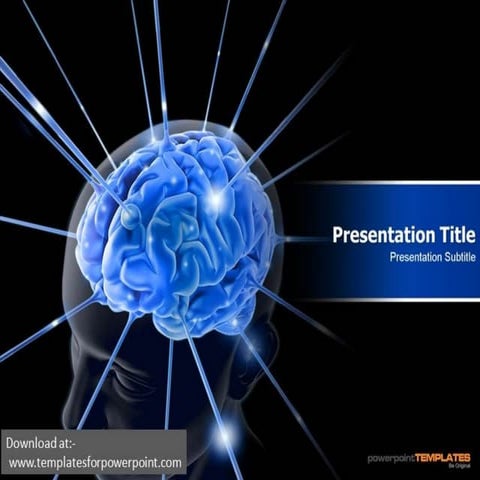 Brain | PPT | Desktop Publishing | Computer Software and Applications