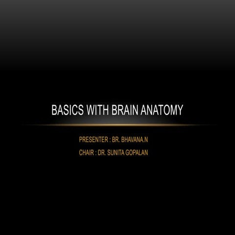 brain anatomy.pptx. detailed anatomy for medical students | PPTX