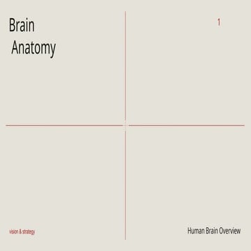 Brain Anatomy power point presentations for genral study(1).pptx