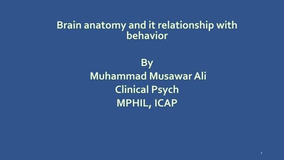 Anatomy of the brain | PPT