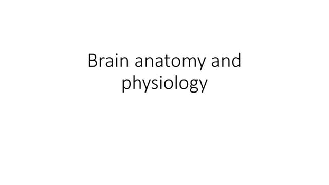 Basic Brain Anatomy | PPTX