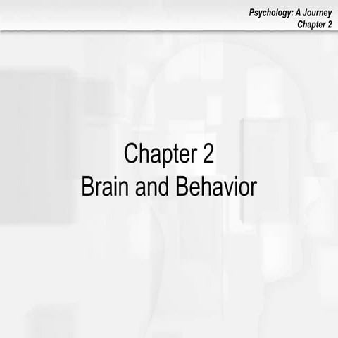 brain and behaviour.Pptgrr ttyyyytrtttrfjjjjggggdddff | PPT