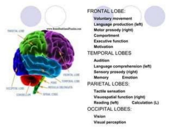 7.5Psycho metric assmt of emo-1.pp.........tx