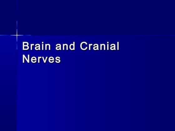 Cranial Nerve Examination | PPT