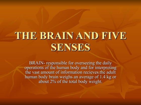 The five senses | PDF