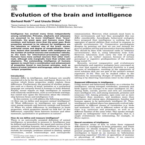 Brain and intelligence evol | PDF