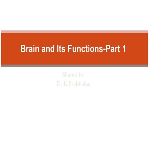 Brain And Its Functions Part 1 17203 | PPT