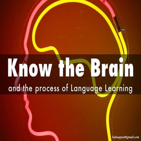 Brain and language skills- How our brain works in acquiring sills in a ...