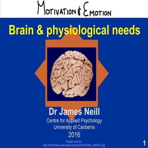 Brain and physiological needs | ODP