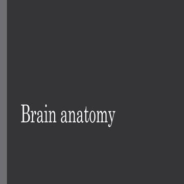 Overview of the anatomy of the brain and its physiology | PPT