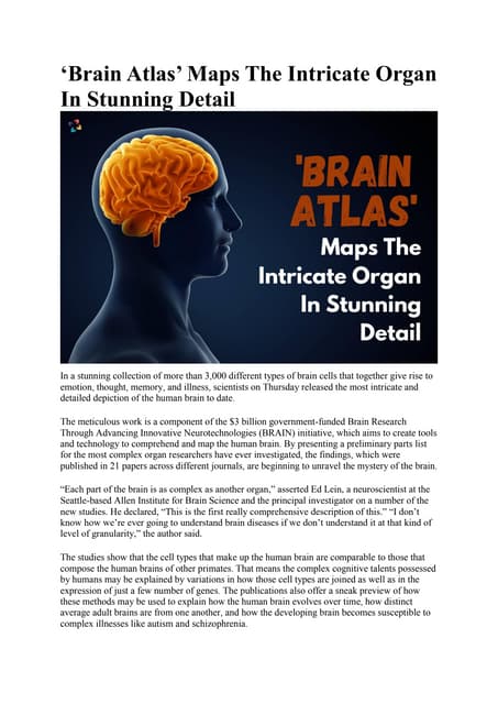 Brain | PDF