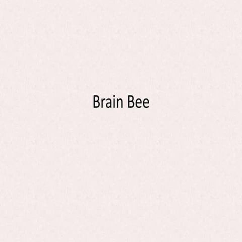 Brain bee | PPTX