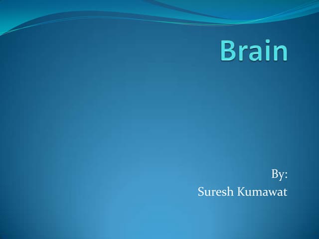 Our Amazing Brain | PPT